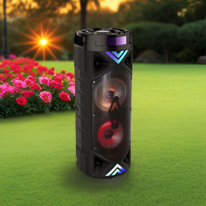 HIFI double ZQS 6201 Portable Woofer Subwoofer Mic Party Stage Powered ...