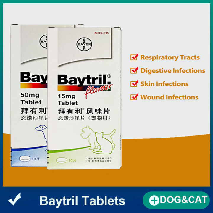 Tasty Baytril Tablets: Enrofloxacin Antibiotics for Feline and Canine ...