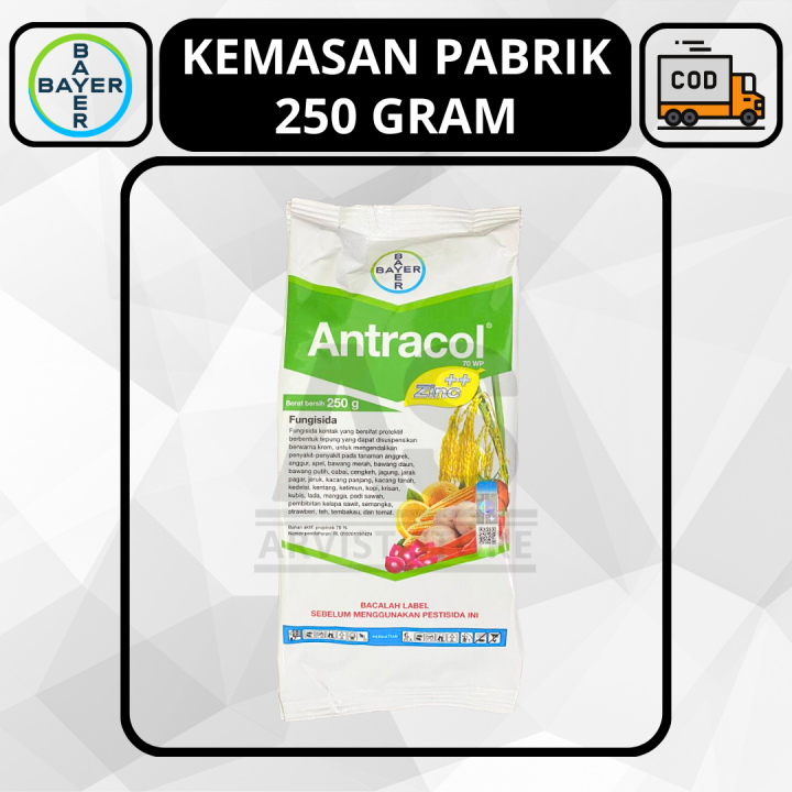 Fungisida ANTRACOL 70 WP + Zinc 250 Gram Bayer Propineb | Lazada Indonesia
