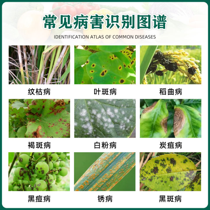 Bainongshida 10% difenoconazole fungicide powdery mildew, scab, sheath blight, brown spot rust ...