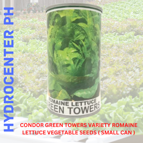 CONDOR GREEN TOWERS VARIETY ROMAINE LETTUCE VEGETABLE SEEDS ( SMALL CAN ...