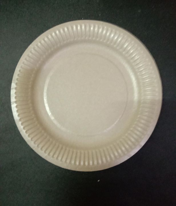 🔥🔥(100pcs)7inches/8inches/9inches disposable paper plate,pinggan kertas ...