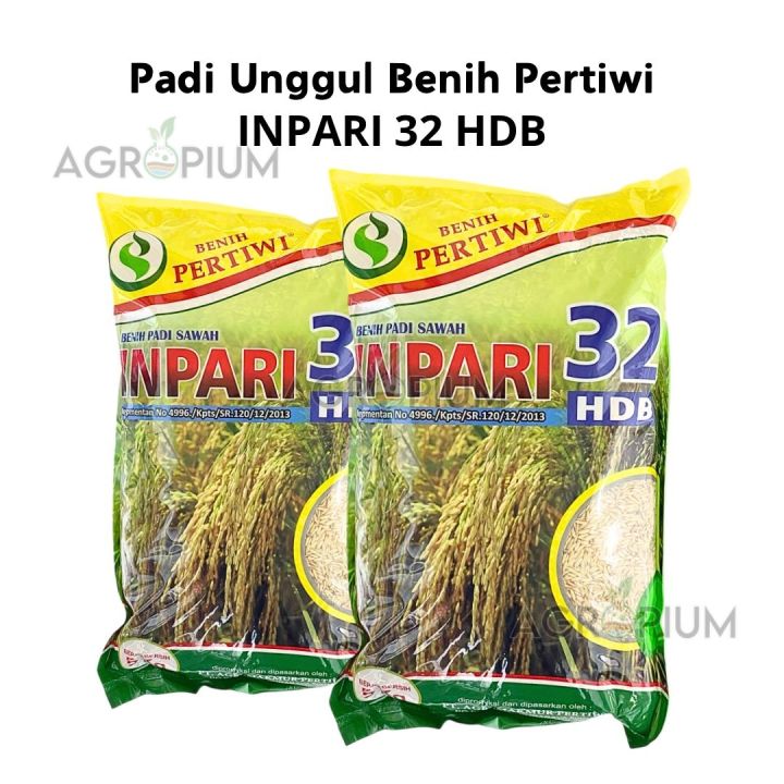 Benih Padi Sawah Unggul INPARI 32 HDB 5 Kg Benih Pertiwi | Lazada Indonesia
