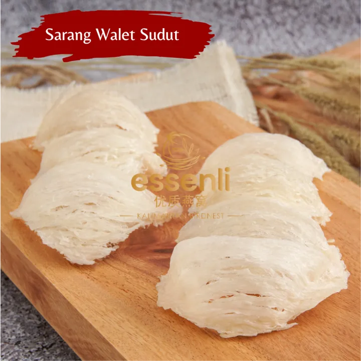 Sarang Burung Walet Sudut / Birdnest | Lazada Indonesia