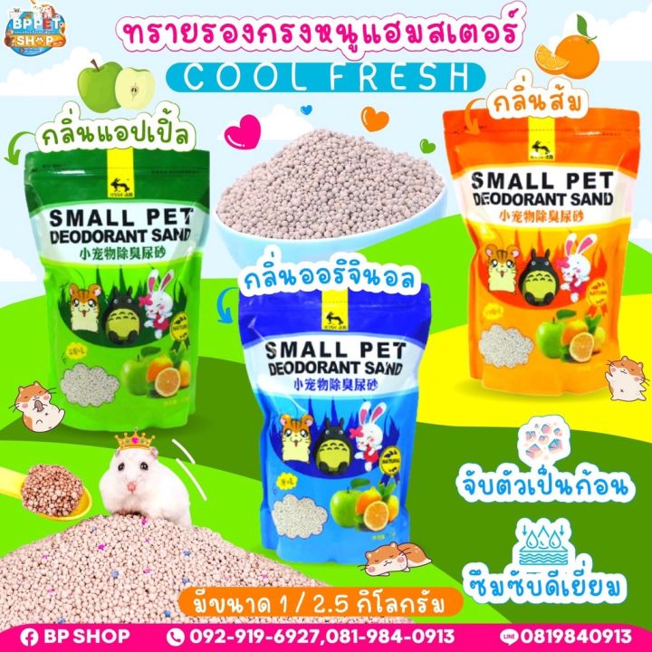 (Ratima) ทรายอนามัยสำหรับหนูแฮมเตอร์ แกสบี้ กระต่าย ทรายอาบน้ำหนู ทราย ...