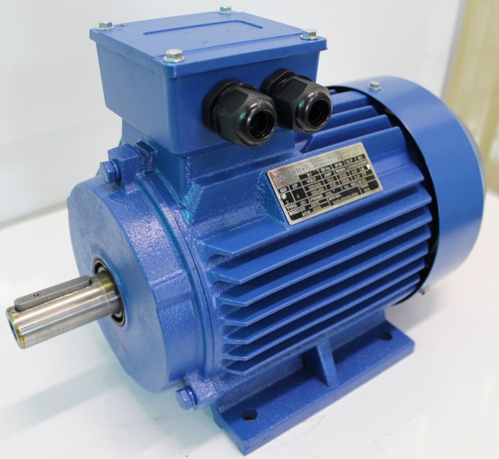 EleDelta Three Phase Induction Motor 0.75KW/1HP/415V/50Hz Foot Mounting ...