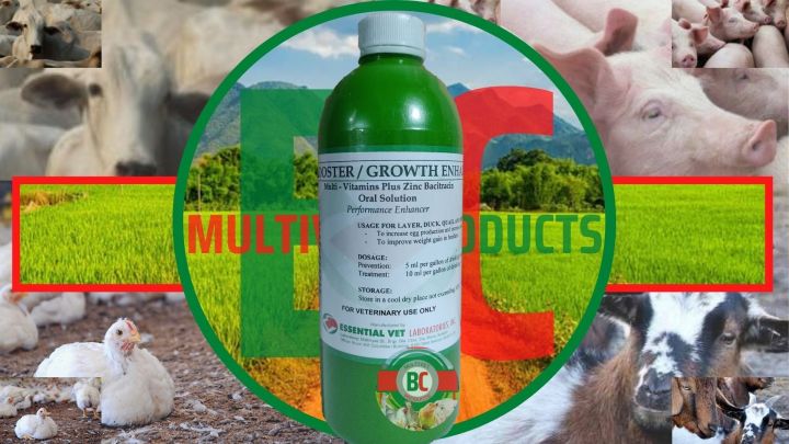 ESSENTIAL VET, EGG BOOSTER / GROWTH ENHANCER[MULTI - VITAMINS PLUS ZINC ...