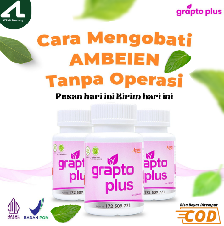 Grapto Plus Terbukti Ampuh Atasi Wasir Ambeien Susah BAB BAB Berdarah ...