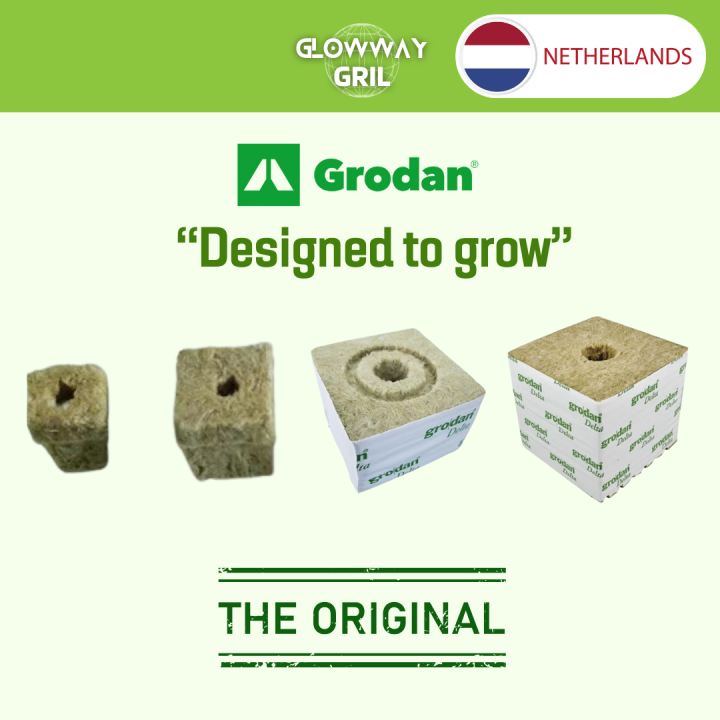 Grodan Rockwool cube ร็อควูล โกรแดนร็อควูลก้อน เพาะเมล็ด เพาะชำ ไฮโดร ...