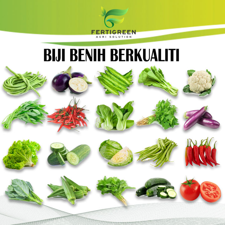 Biji Benih Sayuran Berdaun / Vegetable Seed | Lazada