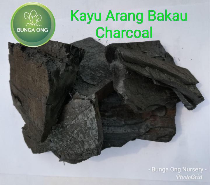 Kayu arang Bakau / Charcoal | Lazada