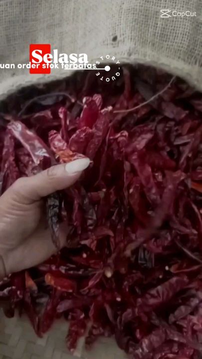 1 KG CABE BESAR KERING KWALITAS BAGUS | Lazada Indonesia