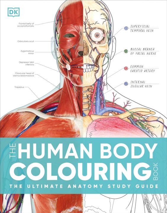 HUMAN BODY COLOURING BOOK, THE: THE ULTIMATE ANATOMY STUDY GUIDE ...