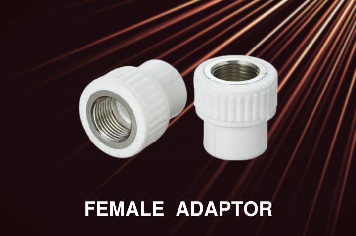 PPR MALE AND FEMALE ADAPTOR | Lazada PH
