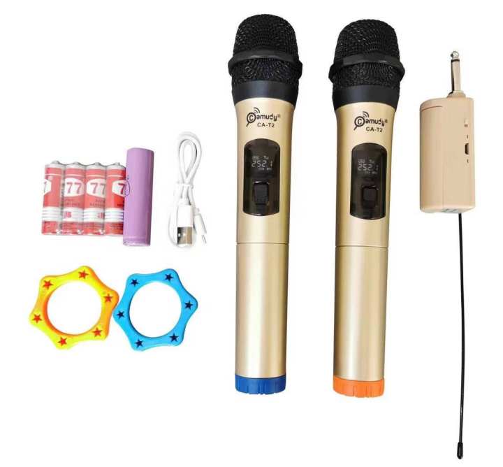 CA-T2 Professional Two pcs Universal Wireless Microphone | Lazada PH