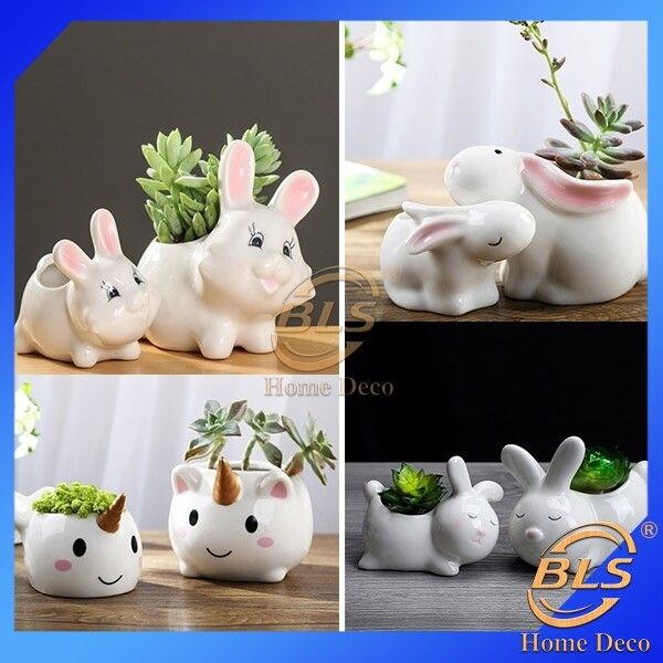 Multiple Cute Animals Design White Ceramic Pot THG 074 Elegant Cactus ...