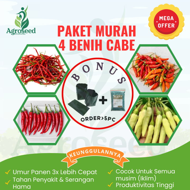 4 Jenis Benih Cabe/Cabai (±100 BENIH) Paket Lengkap Tanaman Super Cepat ...