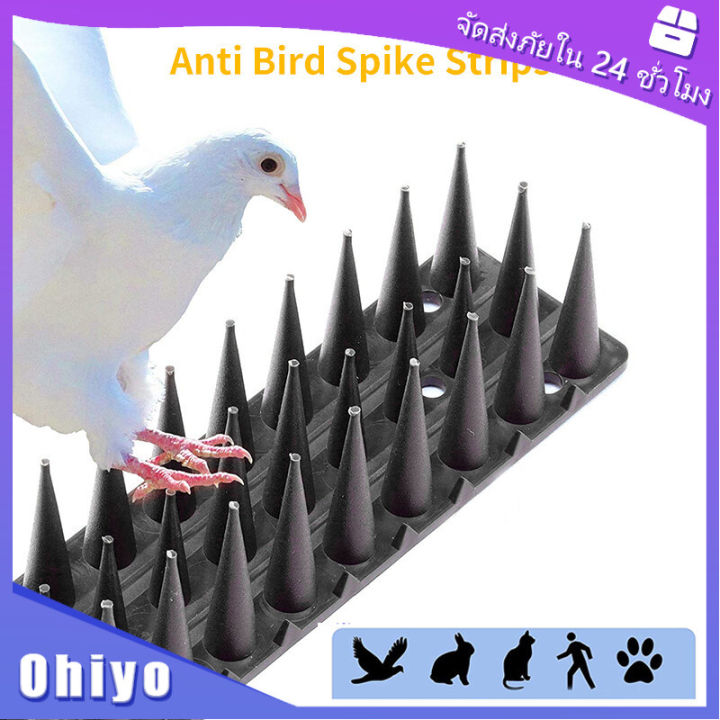 ที่กันนก หนามพลาสติกแบบพลาสติกตัดได้อุปกรณ์เข็มพลาสติกไล่นกสําหรับแมวนก ...