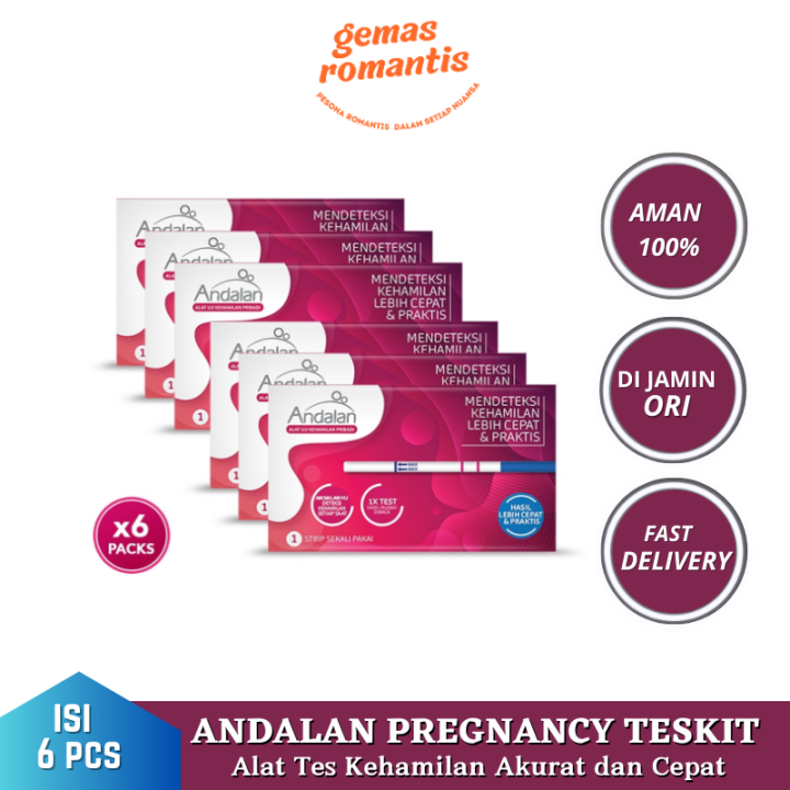 Andalan Pregnancy Test Kit 6 Pcs - Alat Test Pack Kehamilan | Lazada ...