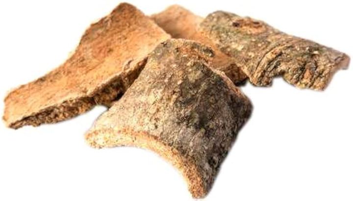 Varuna tree bark / powder (Crotaeva Nurvala) Three Leaved Caper Barun ...