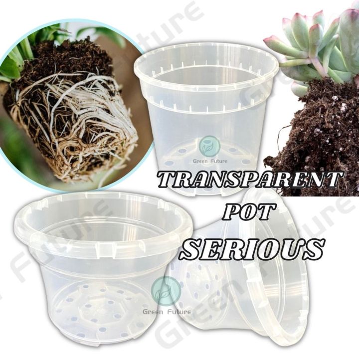 Octo Transparent Series Flower Pot Gardening Hydroponics Orchid 透明花盆 花盆 ...