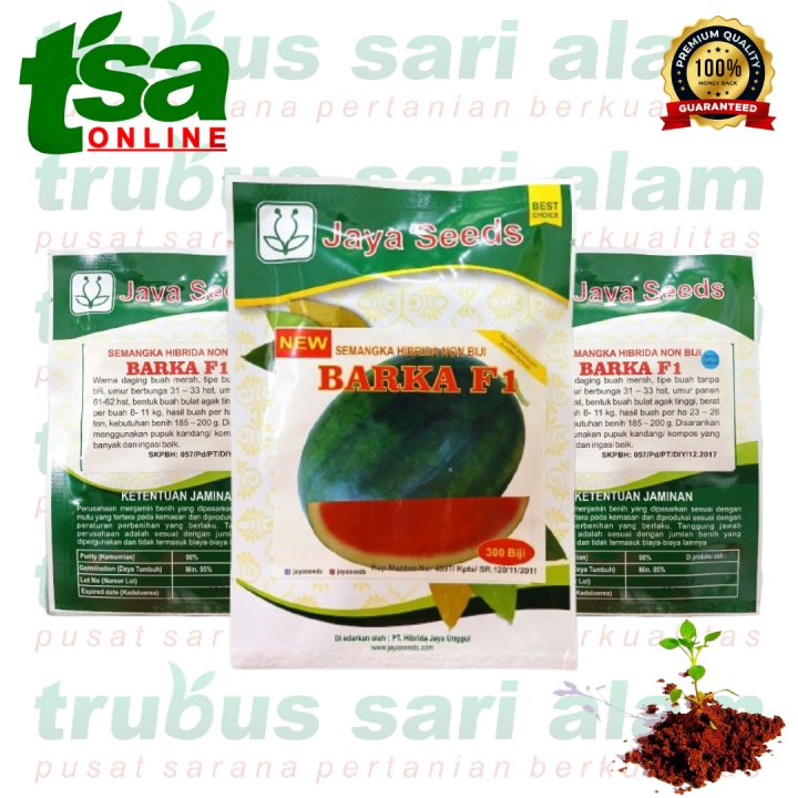 NEW BARKA F1 300biji - Benih bibit Semangka merah non biji buah segar ...