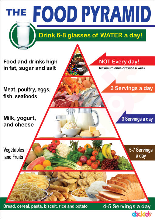 Foods and Beverages Learning Materials and Educational Charts For Kids ...