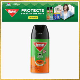 Baygon Protector Multi Insect Killer 300mL | Lazada PH