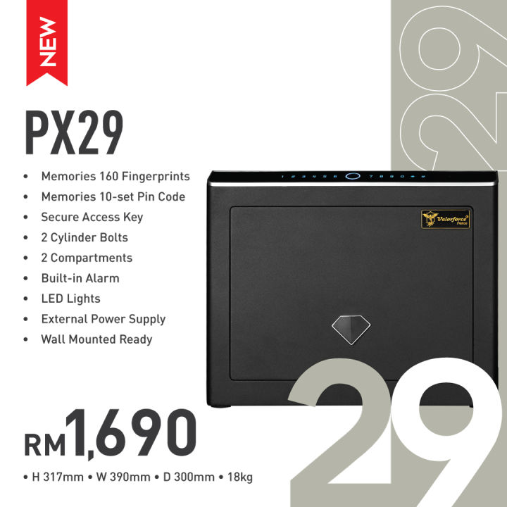 【NEW】Valorforce PX29 High-Security Steel Safe with Fingerprint & Pin Code Locks | 2 Cylinder ...