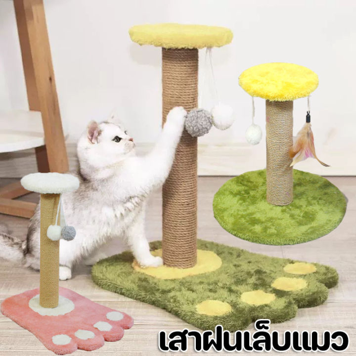 【Junjun】CODเกาเล็บแมว คอนโดแมว แผ่นรับเล็บแมว กรอบปีนแมว เสาลับเล็บแมว ขนาด ใหญ่ คอนโดแมว ...