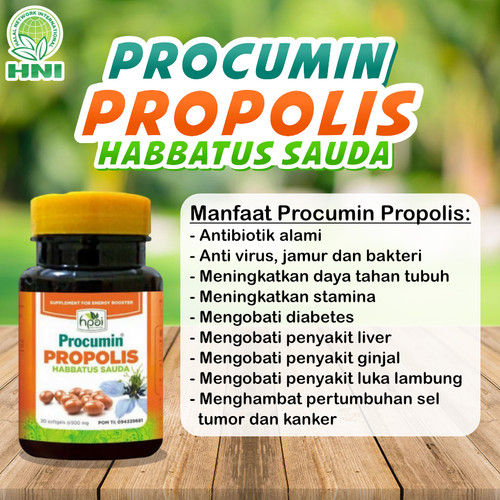 Procumin Propolis HNI HPAI Ori BPOM | Lazada Indonesia