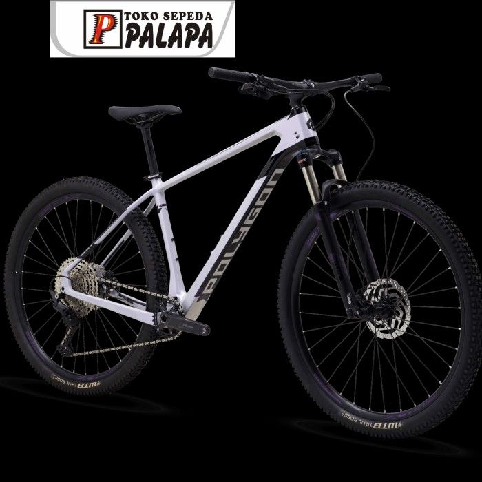 MTB 27.5 & 29 Polygon Syncline C2 C 2 Carbon Sepeda Gunung | Lazada ...