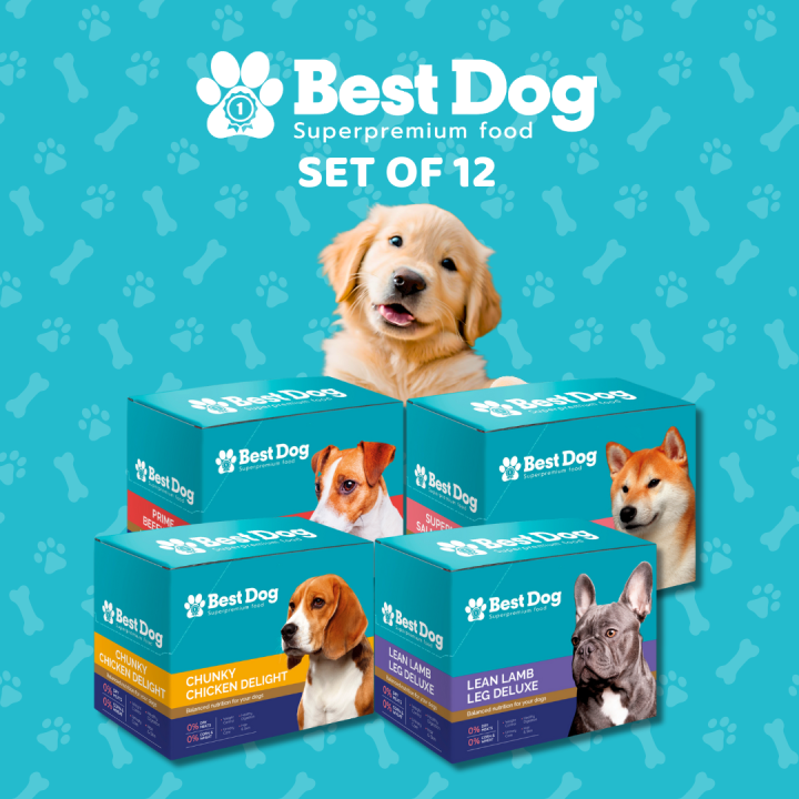 Best Dog Adult Dog Wet Food Pouch 100g SET OF 12 | Lazada PH