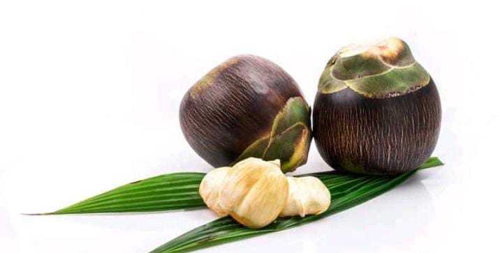 Buah Lontar/Siwalan | Lazada Indonesia