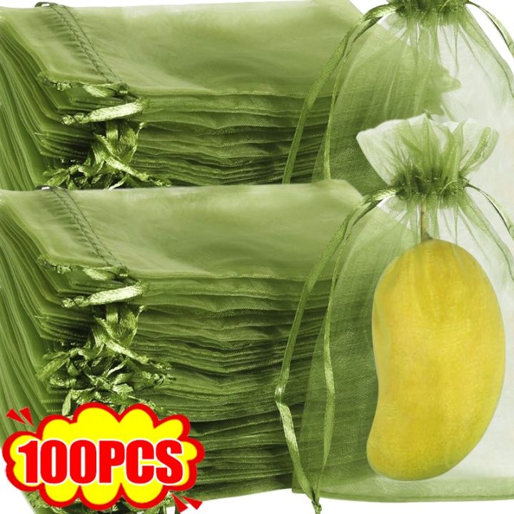 100Pcs Fruit Protection Bags Mesh Fruit Vegetables Bags with Drawstring ...