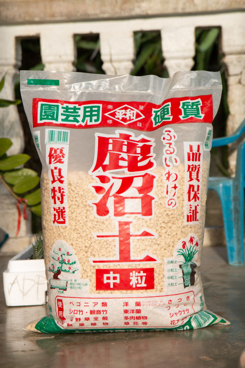 Kanuma Japan | Lazada PH