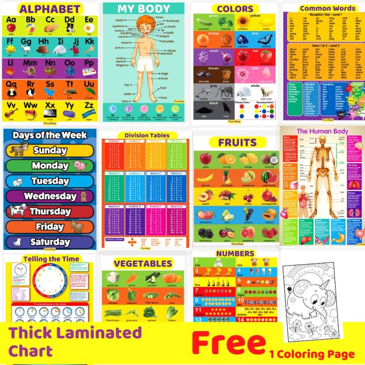 Laminated Charts A4 Size/Educational CHARTS Posters with FREE Coloring ...