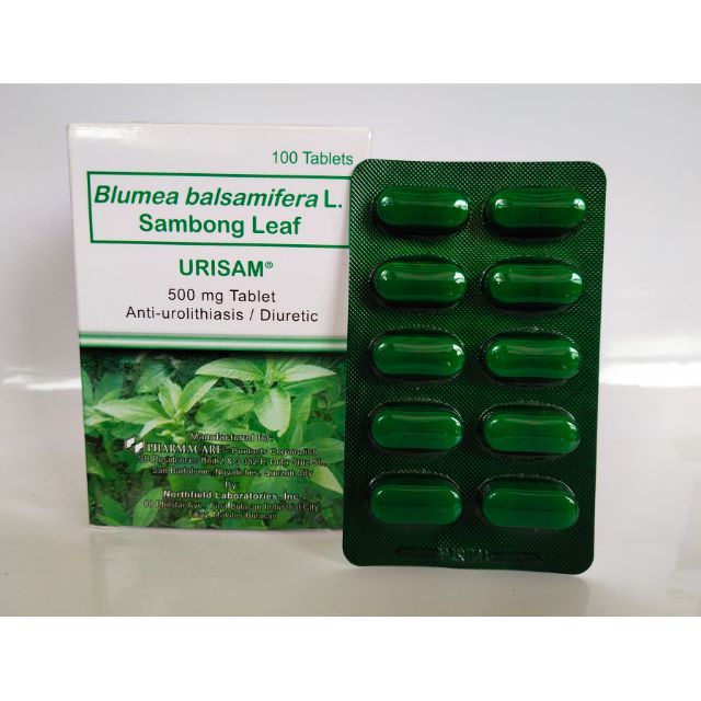 Urisam Sambong Leaf 500mg Tablet 1box 100 Tabs | Lazada PH