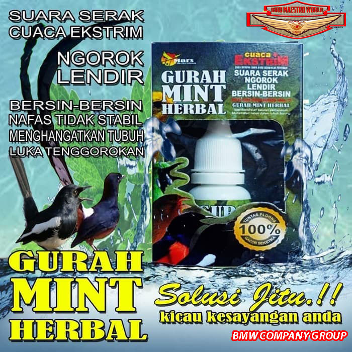 Gurah Mint Herbal 10ml Atasi Serak Penggacor Burung | Lazada Indonesia