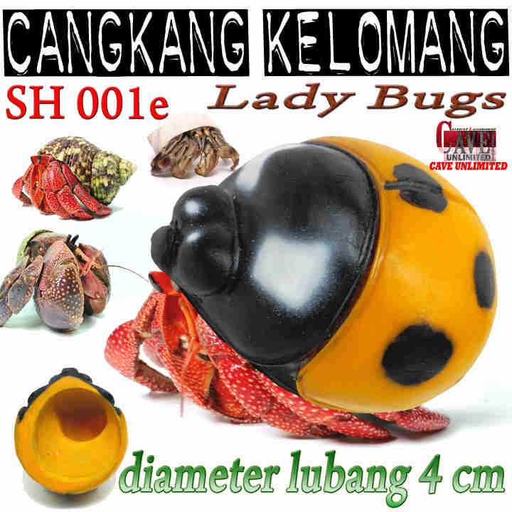 SH001E CANGKANG HEWAN KELOMANG LADY BUGS SHELL RUMAH KEONG KUMANG UMANG POMPONGAN HERMIT CRAB ...