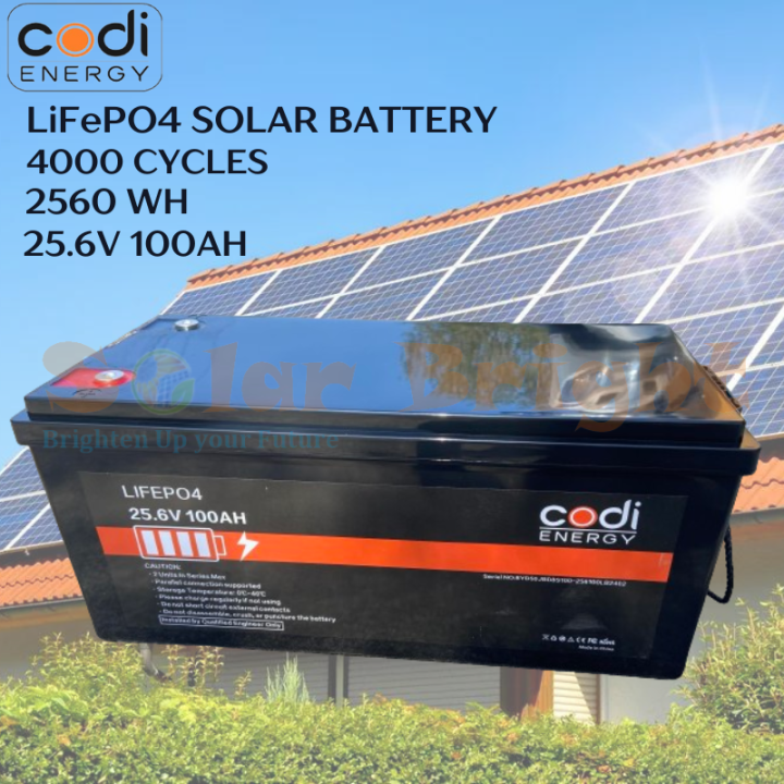 Solar Battery Lifepo4 12.8V 100AH 200AH 25.6V 100AH CODI with Built-In ...