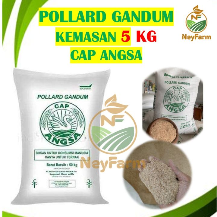 Pollard 5 kg Cap Angsa Bogasari Kemasan 5 kg Polar Makanan Ternak Pakan ...