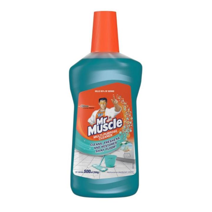 Mr. Muscle Multi Purpose Cleaner Ocean Escape 500ml | Lazada PH