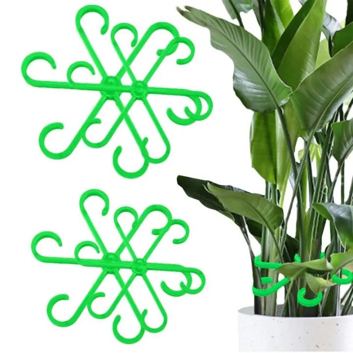4PCS Stem Support Alocasia Monstera Leaf Supports Vine Support Clips ...
