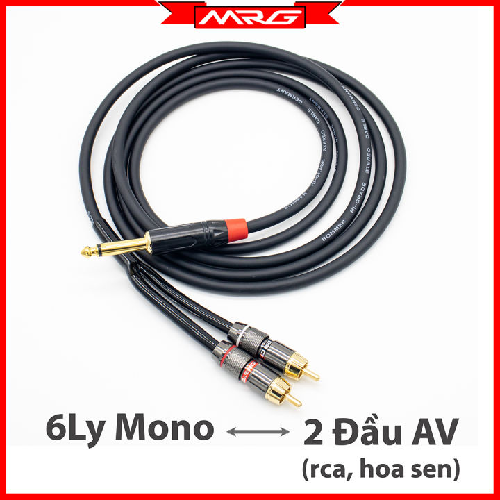 Dây 6 Ly Mono Ra 2 Đầu AV/Hoa Sen, dài 1m-2m-3m-5m-8m-10m MrG | dây 6ly ra av hoa sen, dây hoa ...