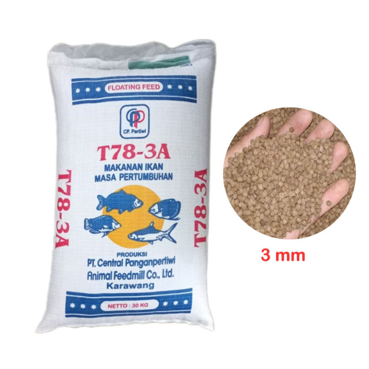 Pakan ikan 1kg T78-3A 3mm pelet ikan lele nila gurame protein tinggi | Lazada Indonesia