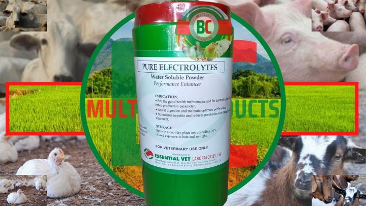 ESSENTIAL VET, PURE ELECTROLYTES(Water Soluble Powder) | Lazada PH