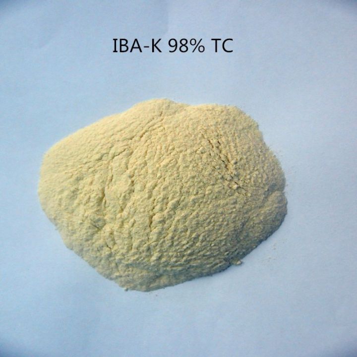 200g Plant Growth Regulator 3-Indolebutyric Acid (IBA) Indole Butyric ...