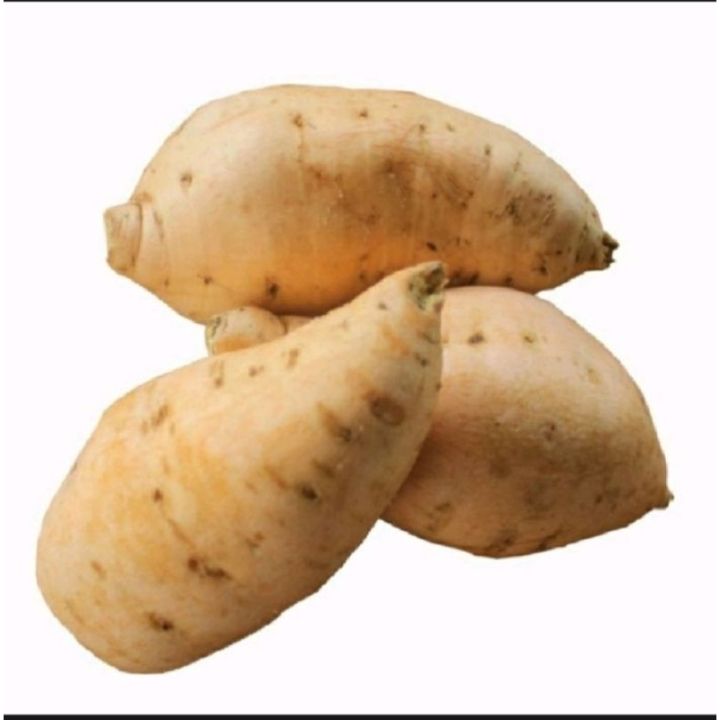 Ubi jalar, ubi rambat, ubi manis, ubi jawa, 1 kg | Lazada Indonesia