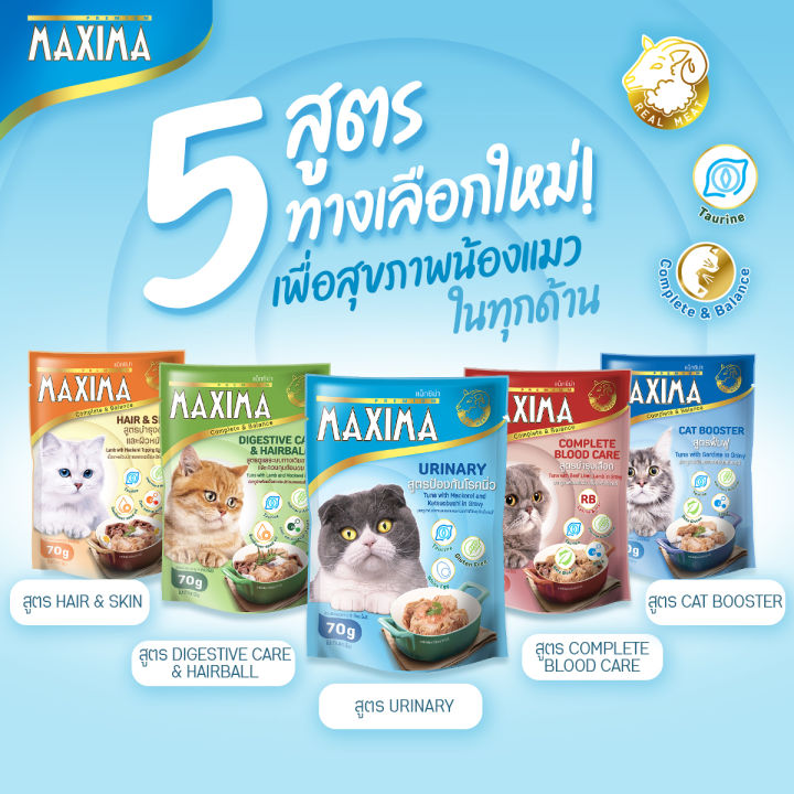 MAXIMA Cat Wet Food Premium Grade 70g อาหารเปียกแมว [12ซอง] (ยกโหล ...